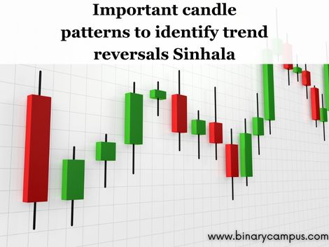 Binary options sinhala - Binary Options Sinhala - designingsound.org